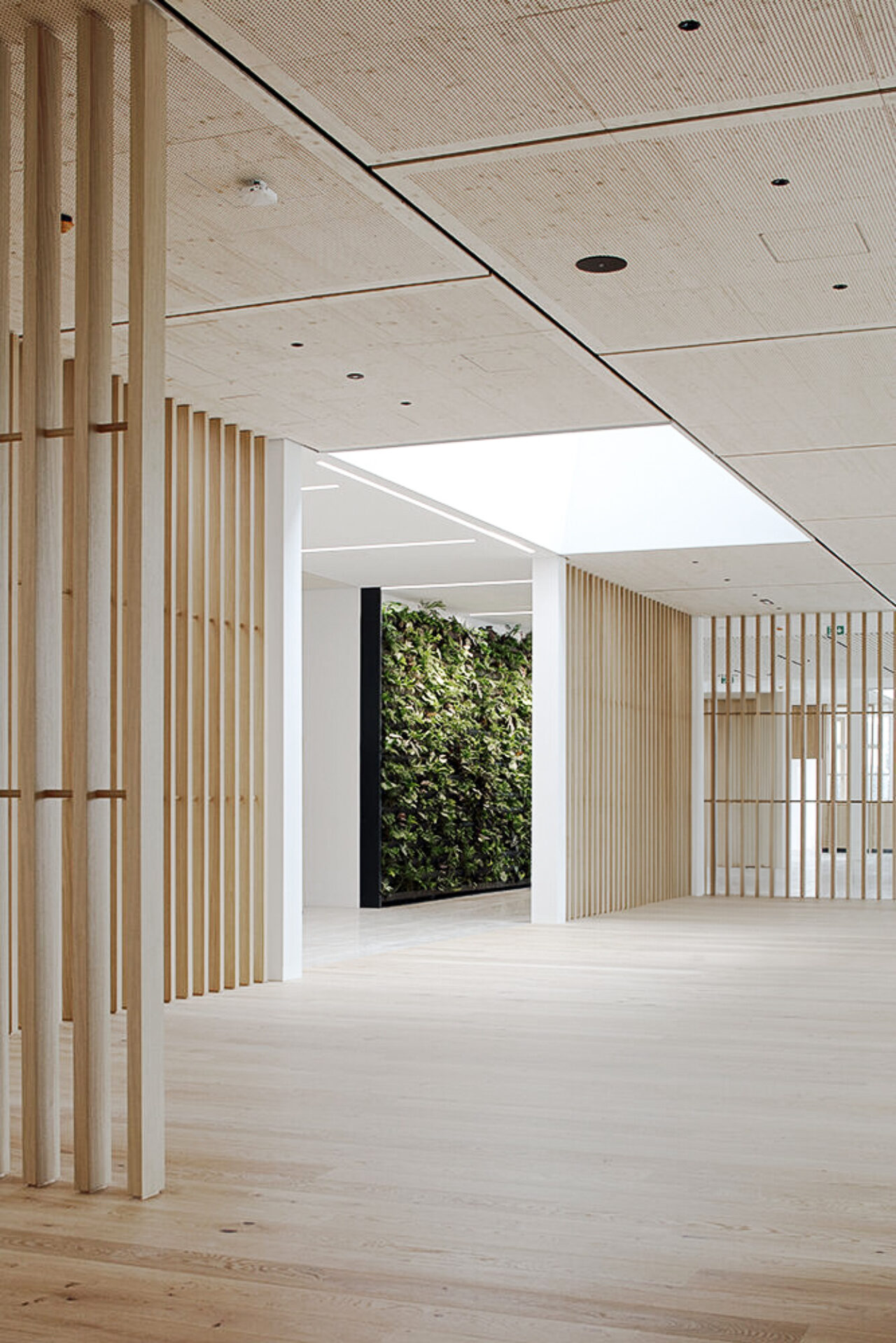BH Seekirchen - Delta Pods Architects